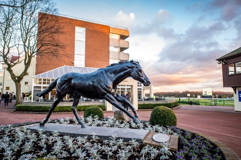 About us | Peter Marsh Group